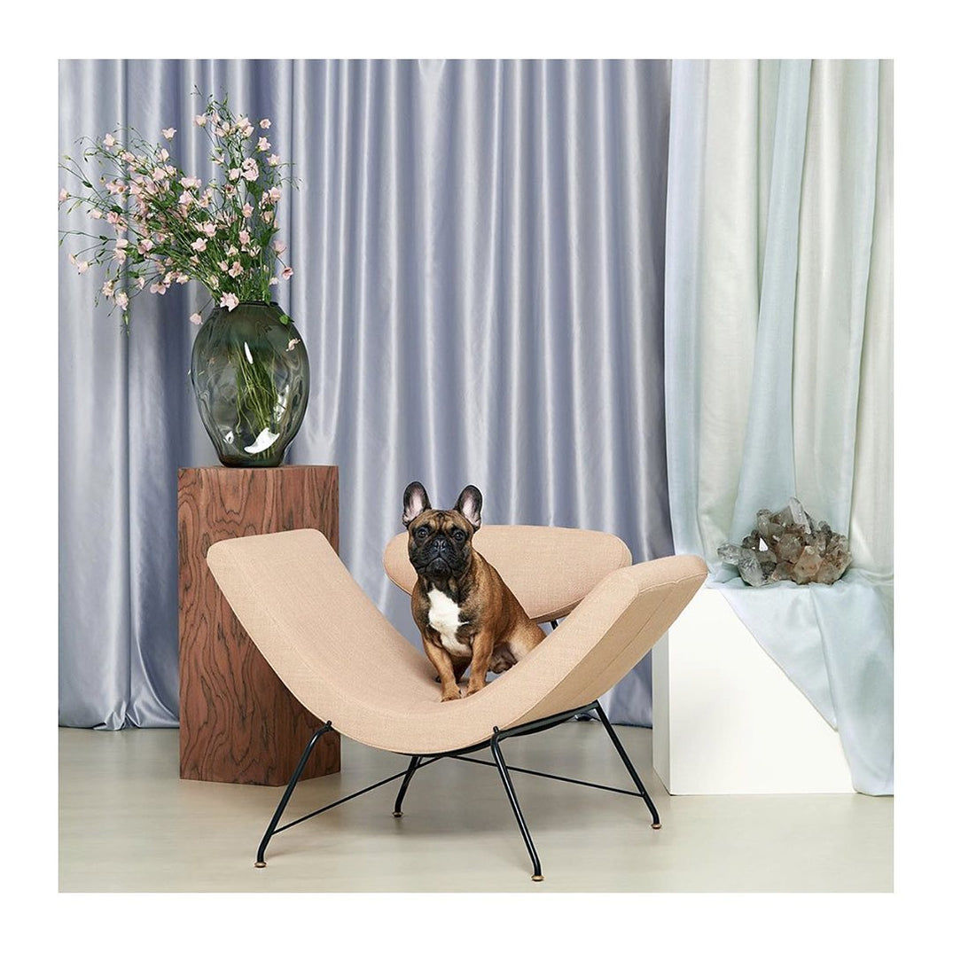 REVERSIVEL Lounge Chair from TACCHINI - commercial quality design ...